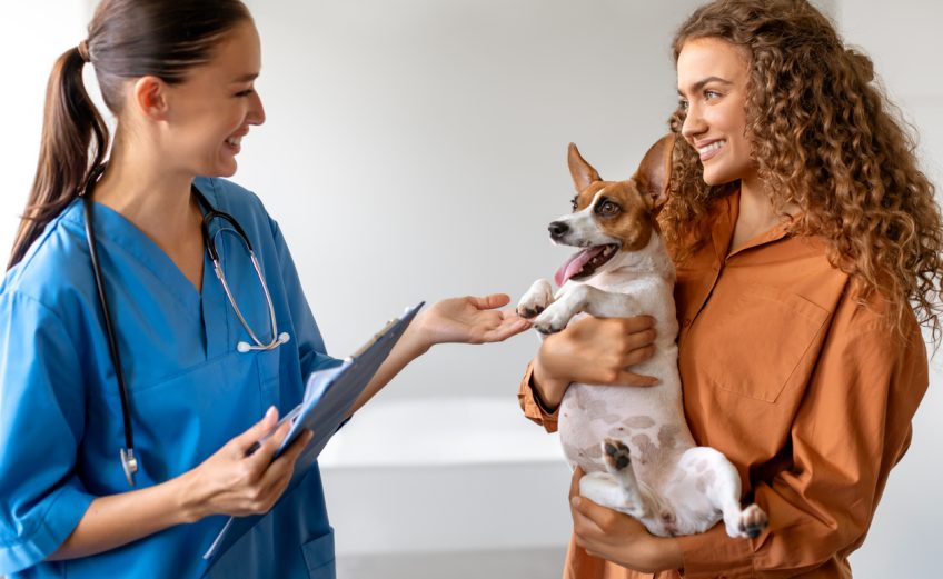 Need Vet Bill Assistance? Here Are Your Best Options