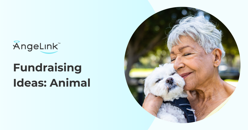 Top Animal Fundraising Ideas to Raise Awareness & Funds