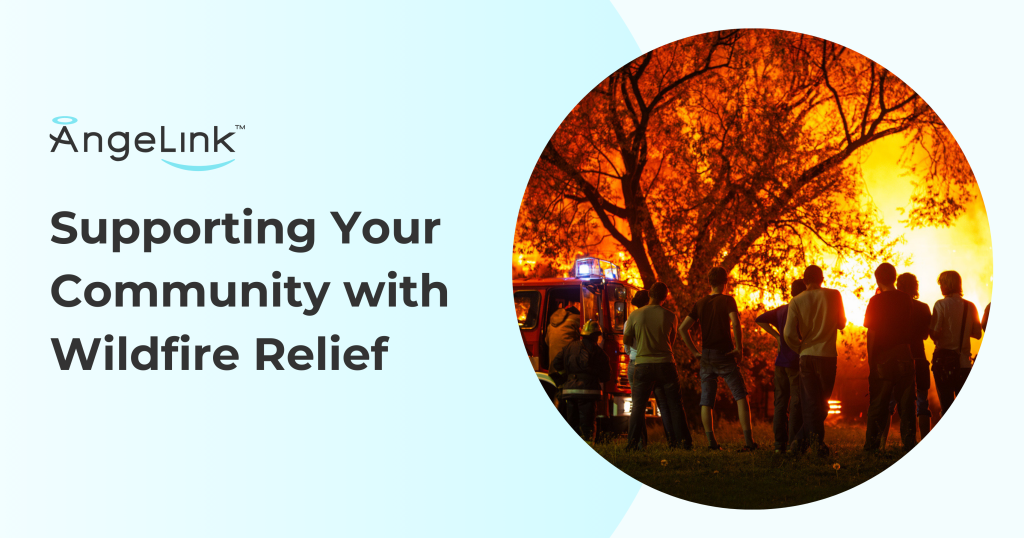 Donate to Support Those In Need of Wildfire Relief